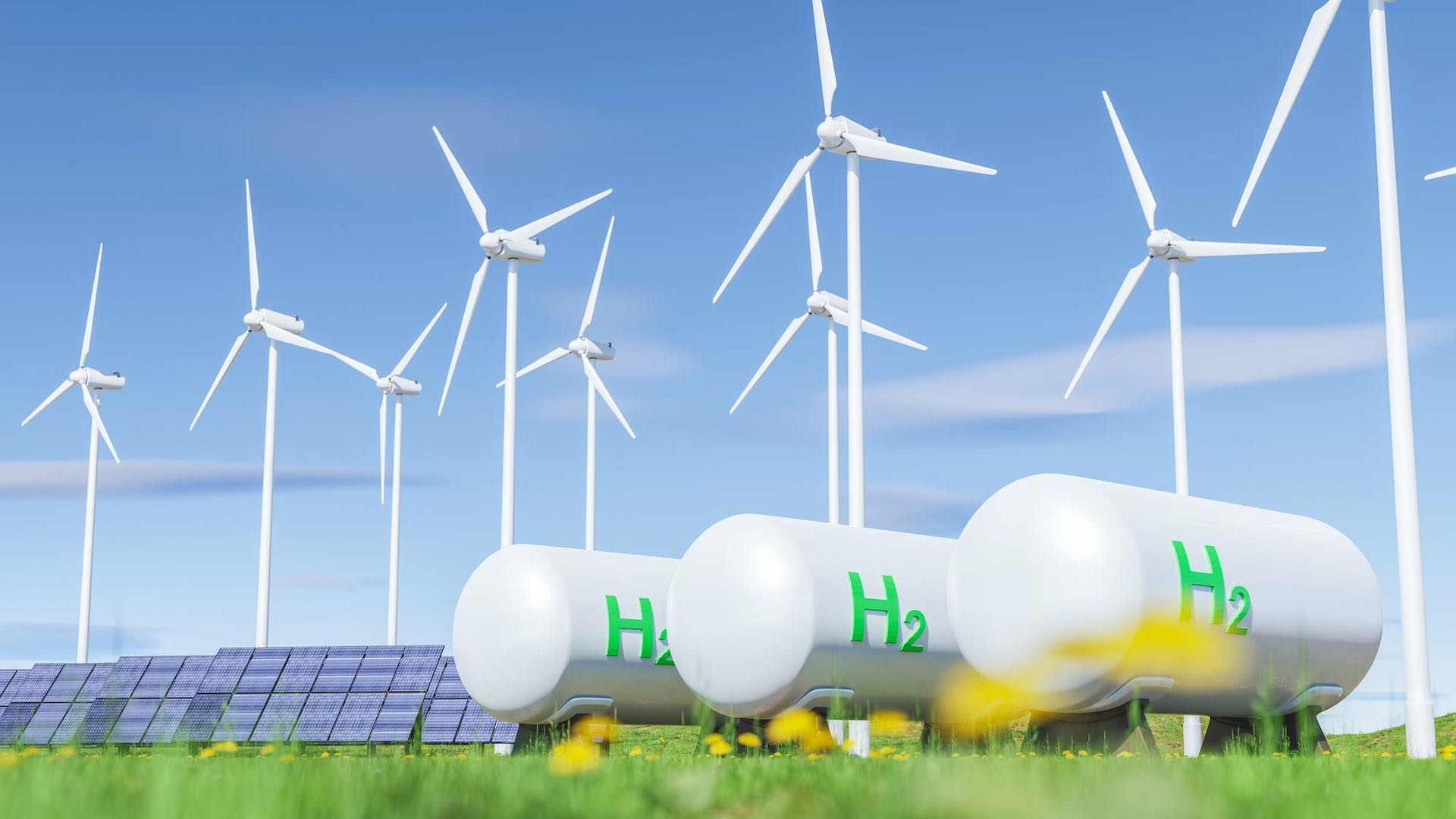 India sets clear path with new green hydrogen standards - Kuwait Tabloid